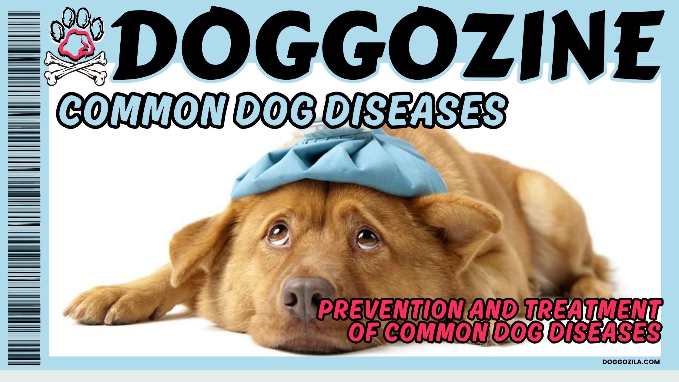 Common Dog Diseases: How To Help Your Dog? • Doggozila Magazine