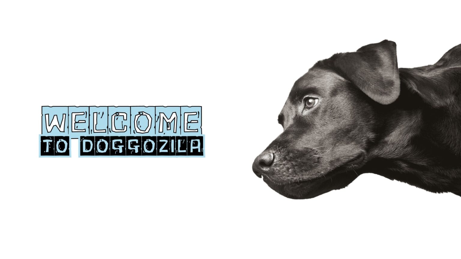 DOGGOZILA - HEALTHY DOGGOS LIFESTYLE