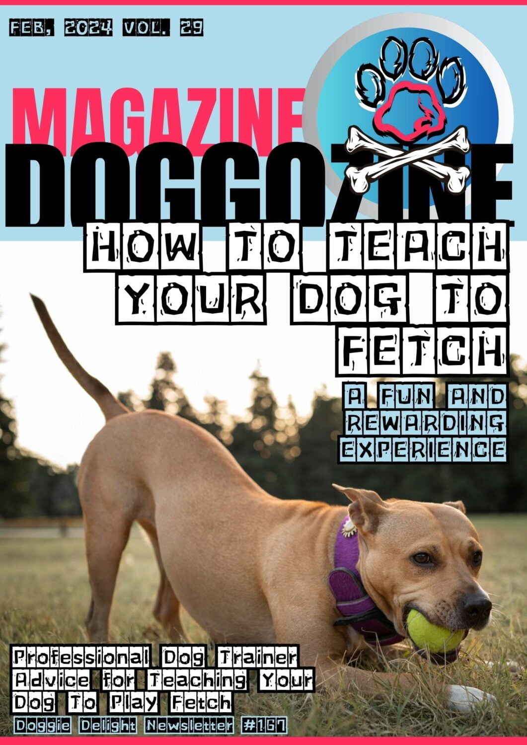 How To Teach Your Dog To Fetch: Fun Training Class • Doggozila Magazine