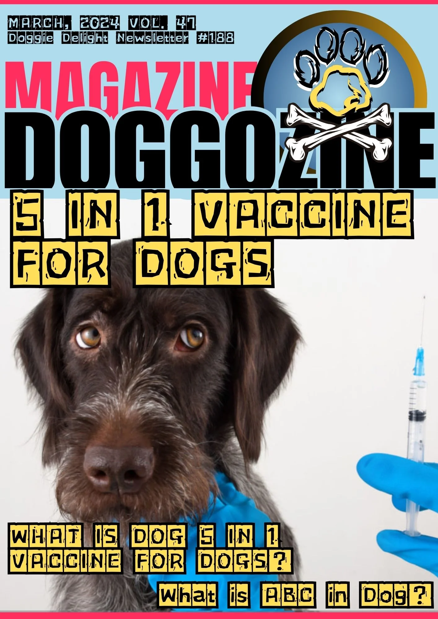 5 In 1 Vaccine For Dogs: Education and Awareness - Doggozila Magazine