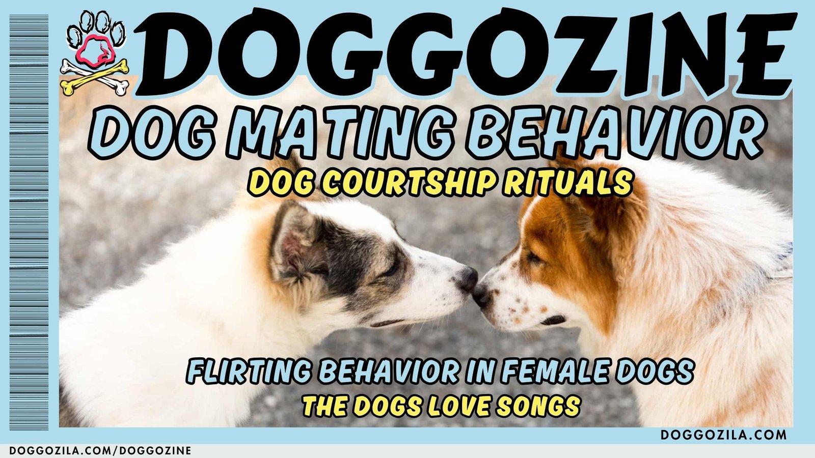 Dog Mating Behavior: Courtship Rituals and Foreplay – Doggozila Magazine
