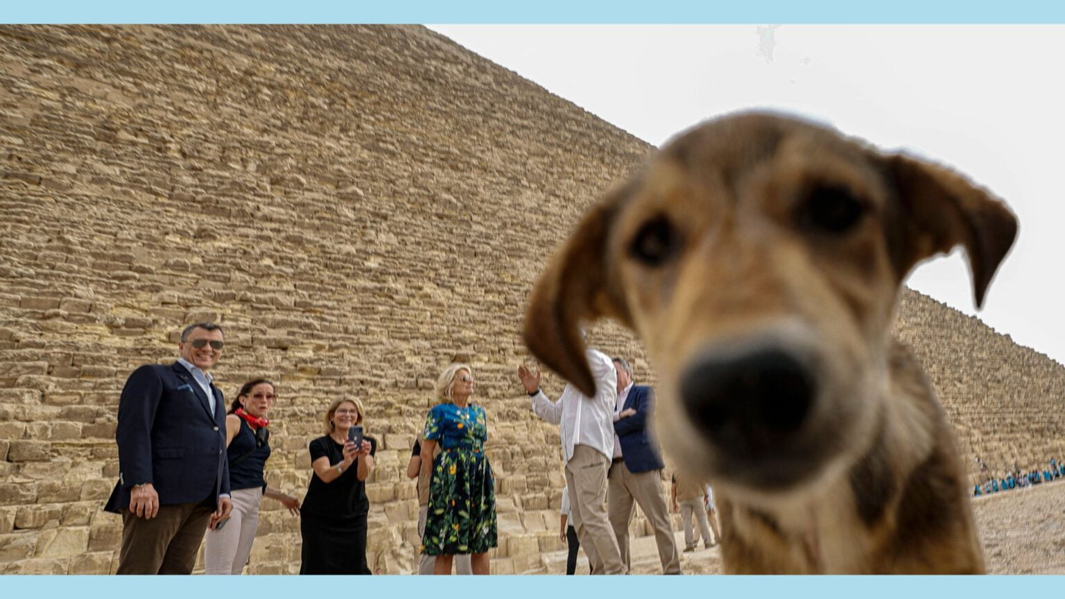 Ancient Egyptian Dogs and Breeds Beyond Egypt • Doggozila Magazine