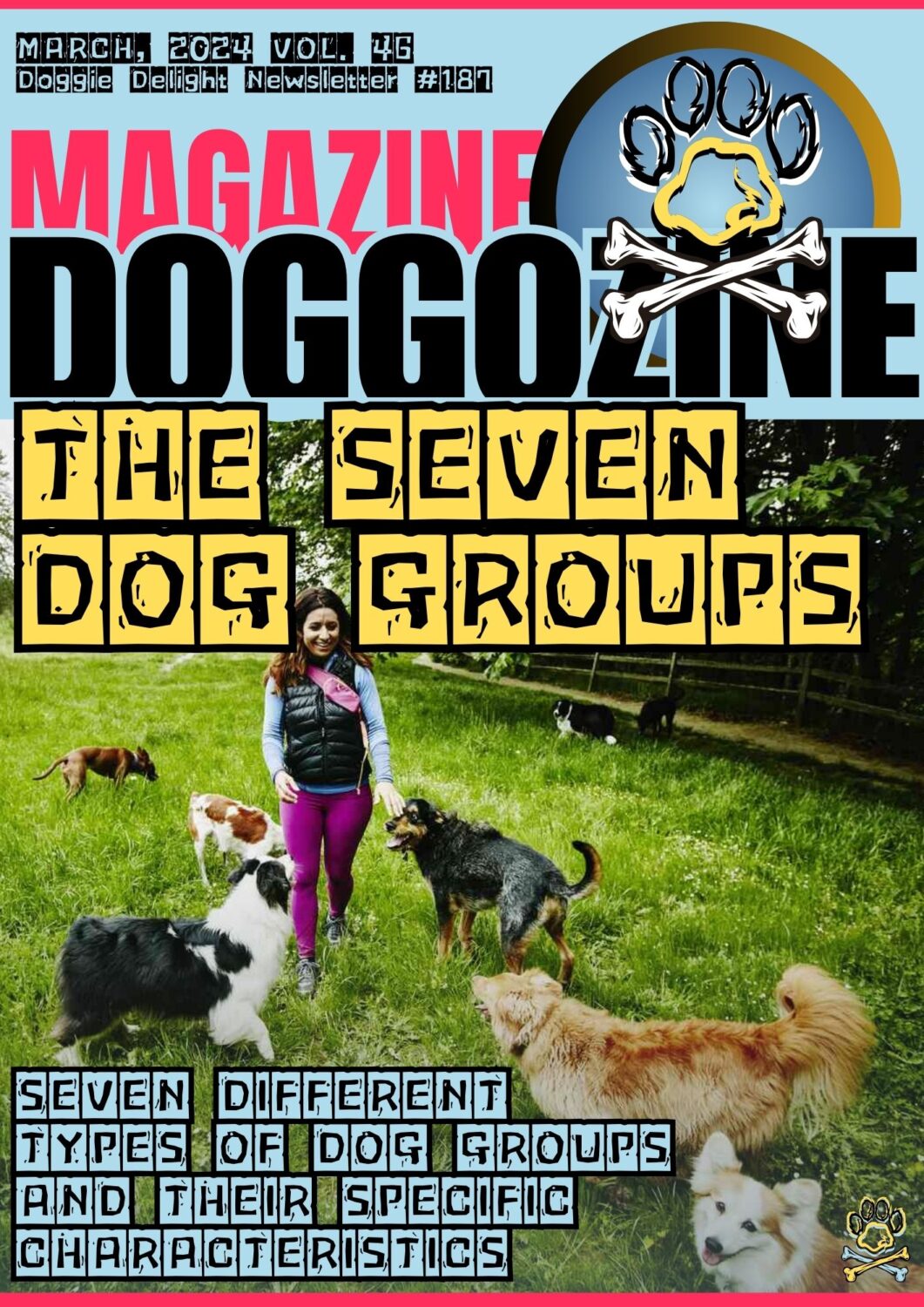 The Seven Dog Groups: Classifying Dogs