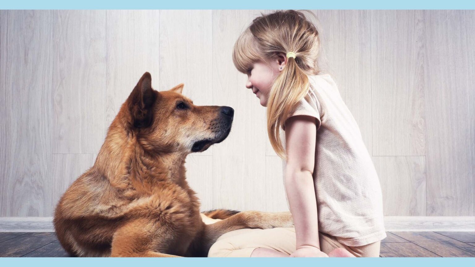 Can Dogs Understand Words Or Interpret Voice? • Doggozila Magazine