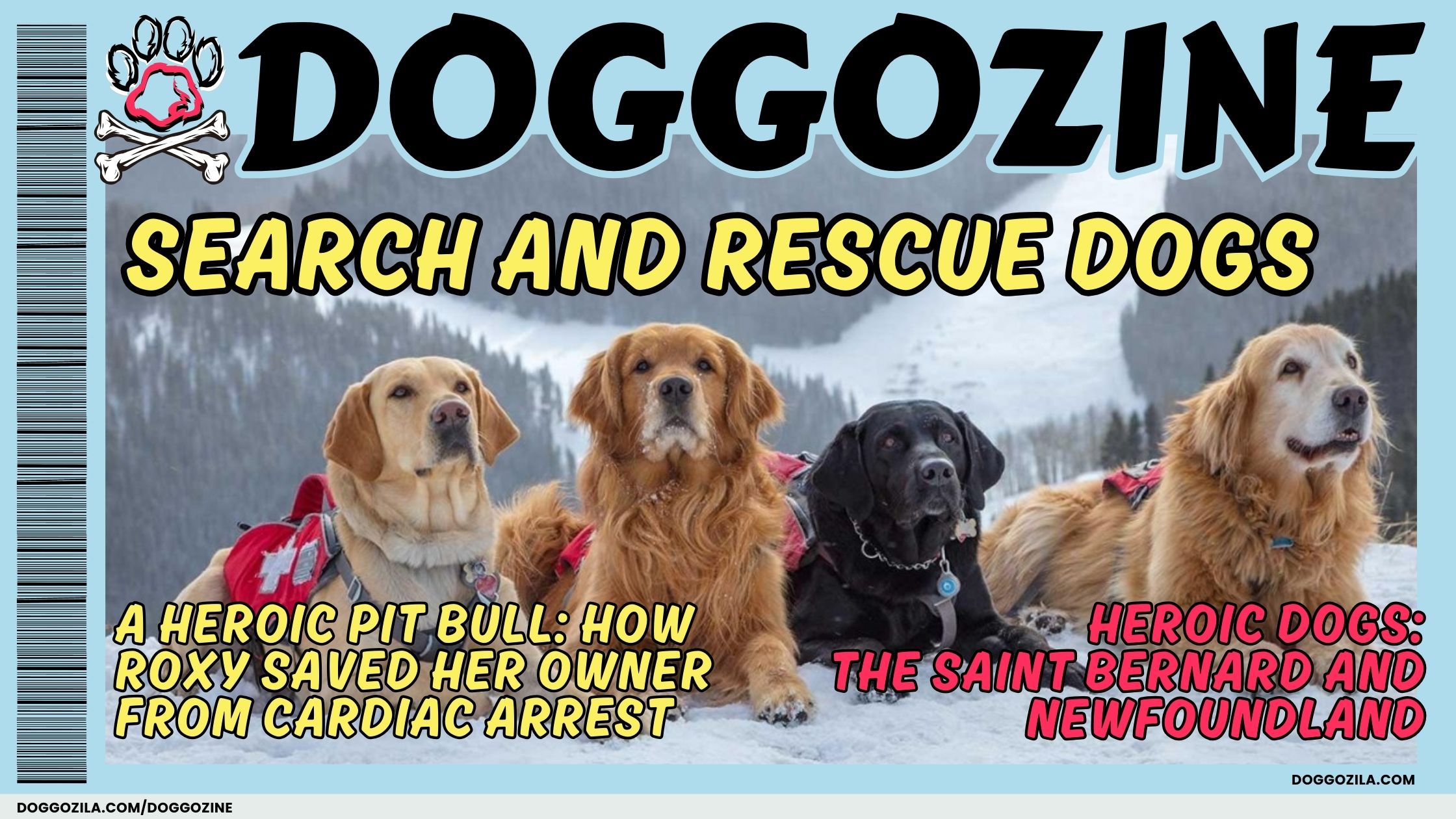 Search and Rescue Dogs: Meet The Furry Heroes • Doggozila Magazine