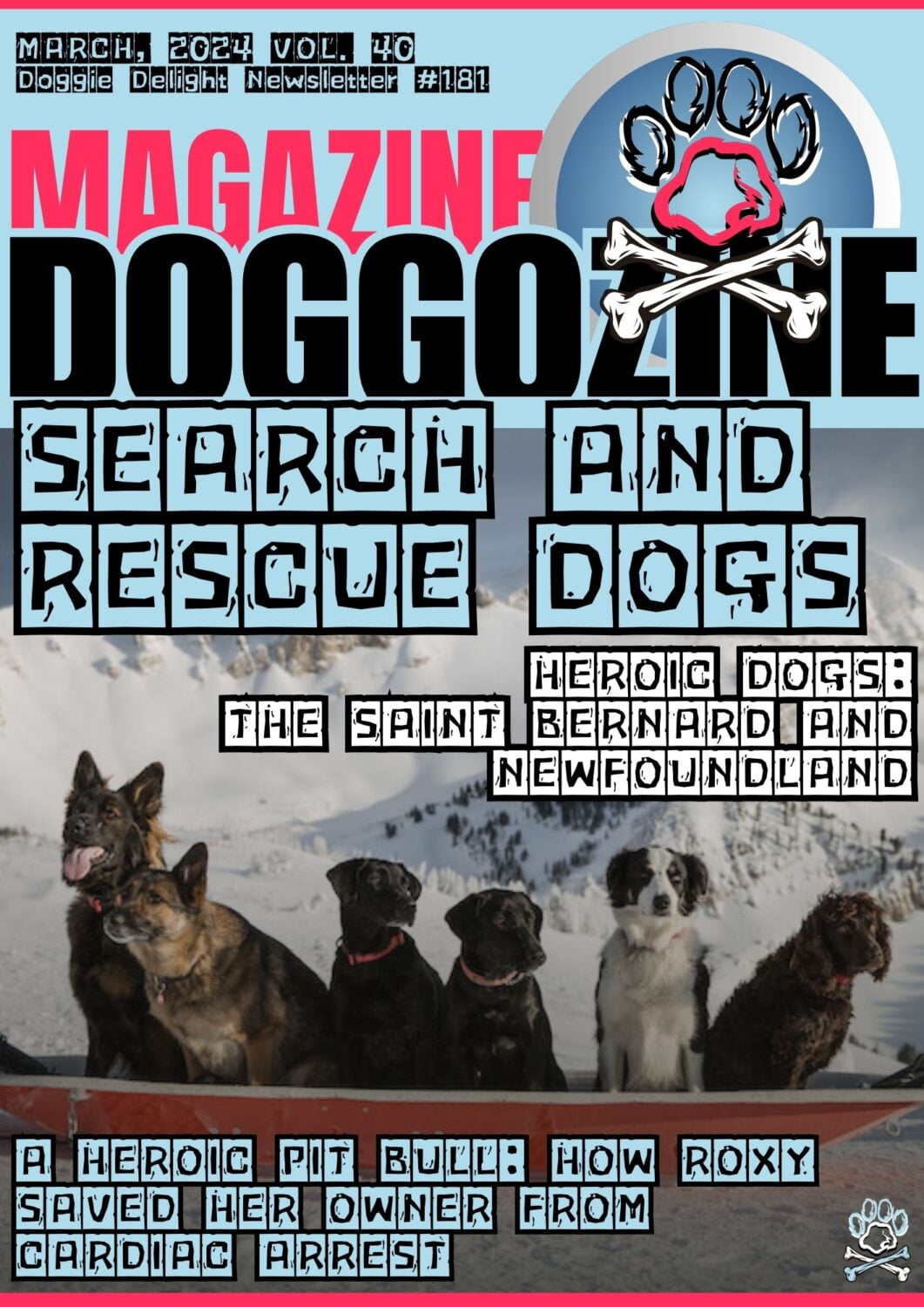 Search and Rescue Dogs: Meet The Furry Heroes • Doggozila Magazine
