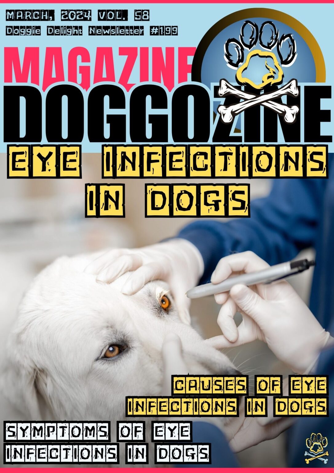 Eye Infections In Dogs: Treatment and Prevention • Doggozila Magazine