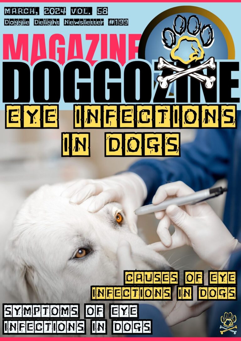 Eye Infections In Dogs: Treatment and Prevention • Doggozila Magazine