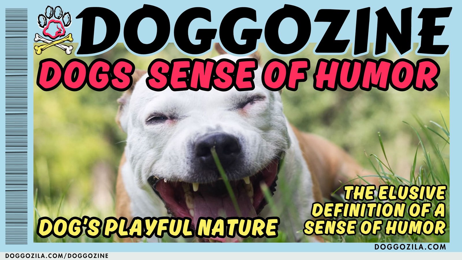 Do Dogs Have A Sense Of Humor? The Pup Comedy • Doggozila Magazine