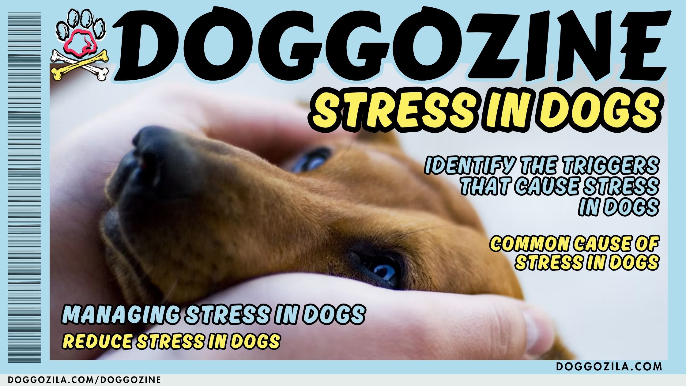 Stress in Dogs: Reduce, Manage and Prevent • Doggozila Magazine