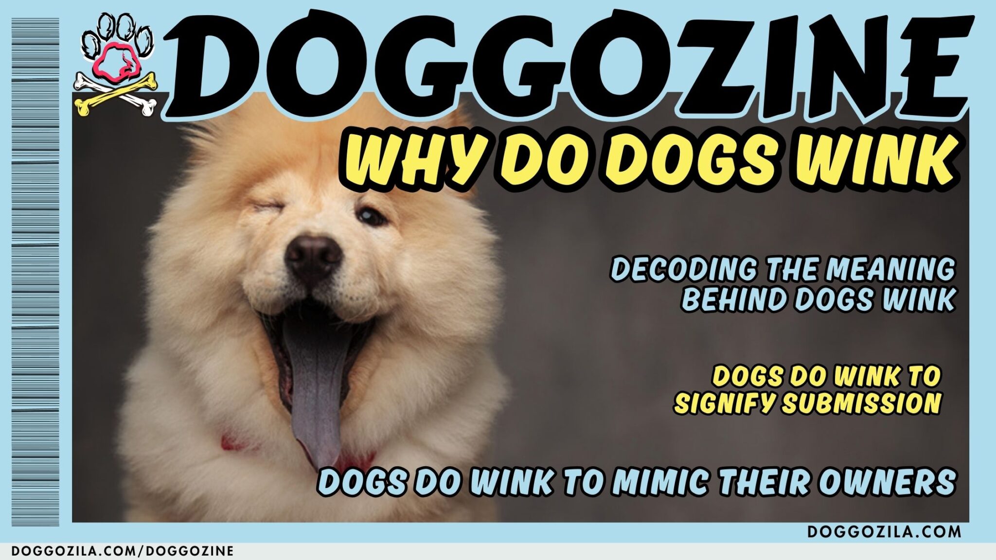 Why Do Dogs Get Stuck After Mating: Explained • Doggozila Magazine