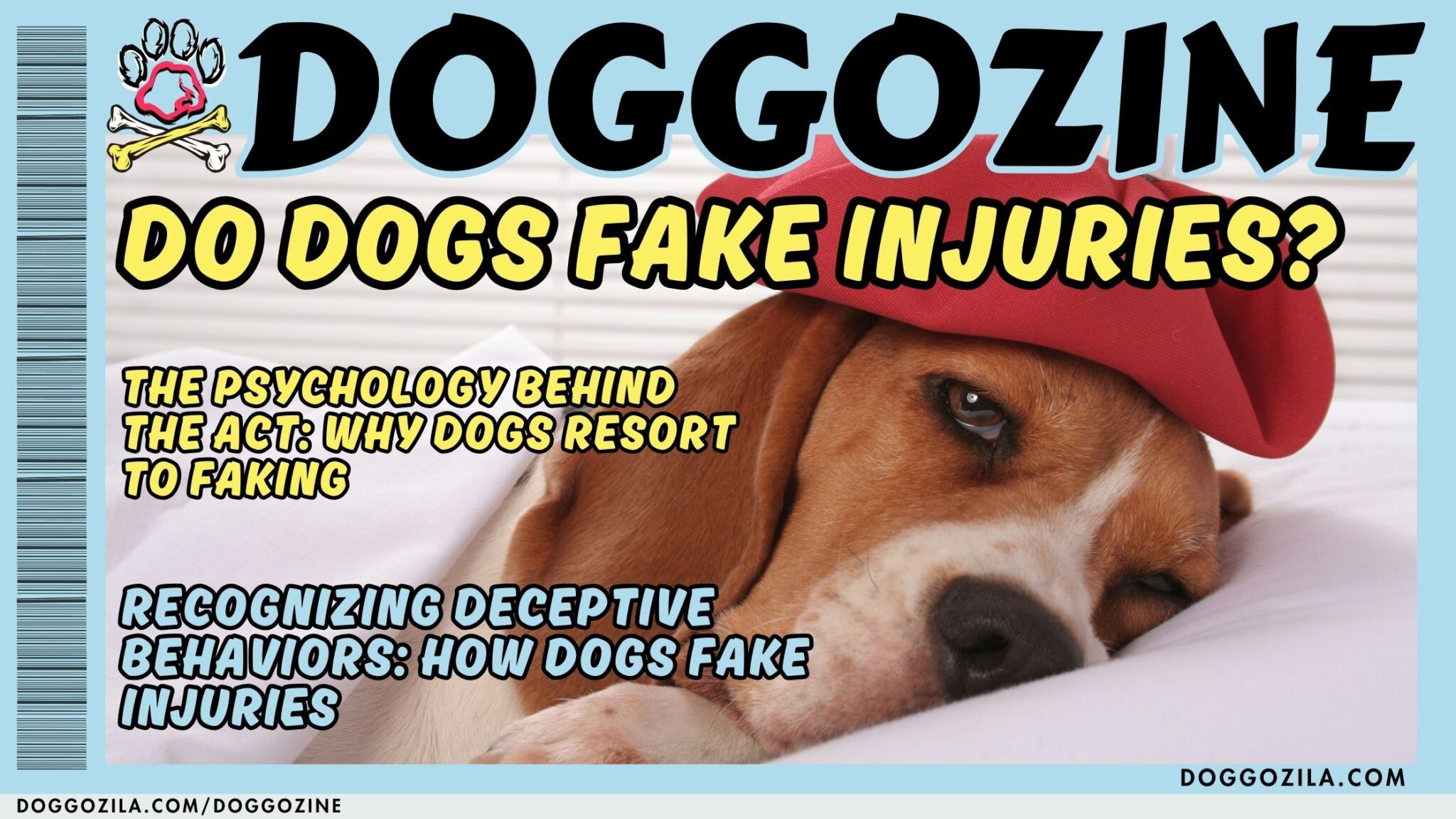 DOGGOZILA - HEALTHY DOGGOS LIFESTYLE