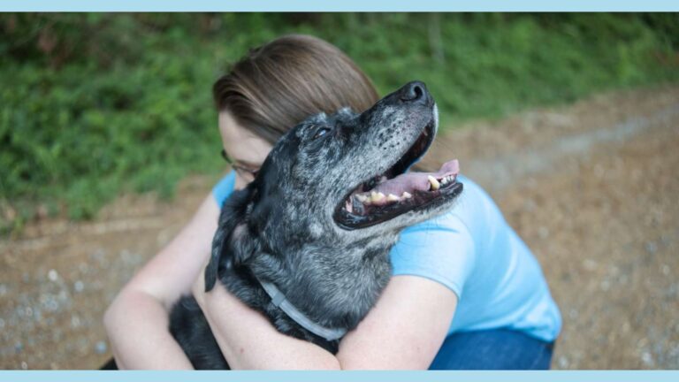 DOG LOVE: SHOULD YOU GIVE YOUR DOG HUGS?