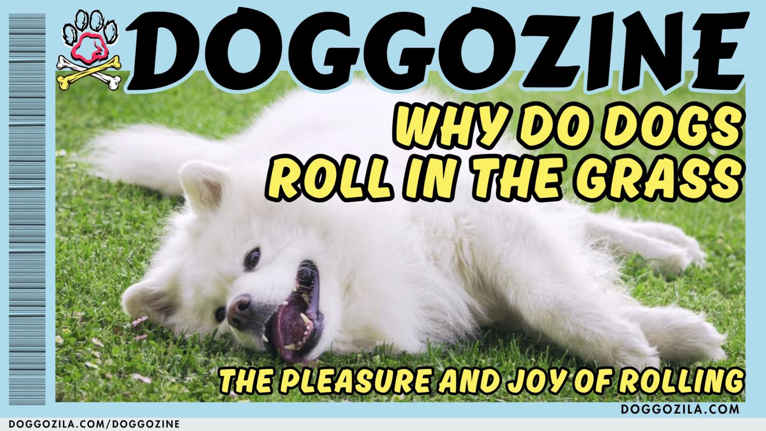DOG MATING BEHAVIOR
