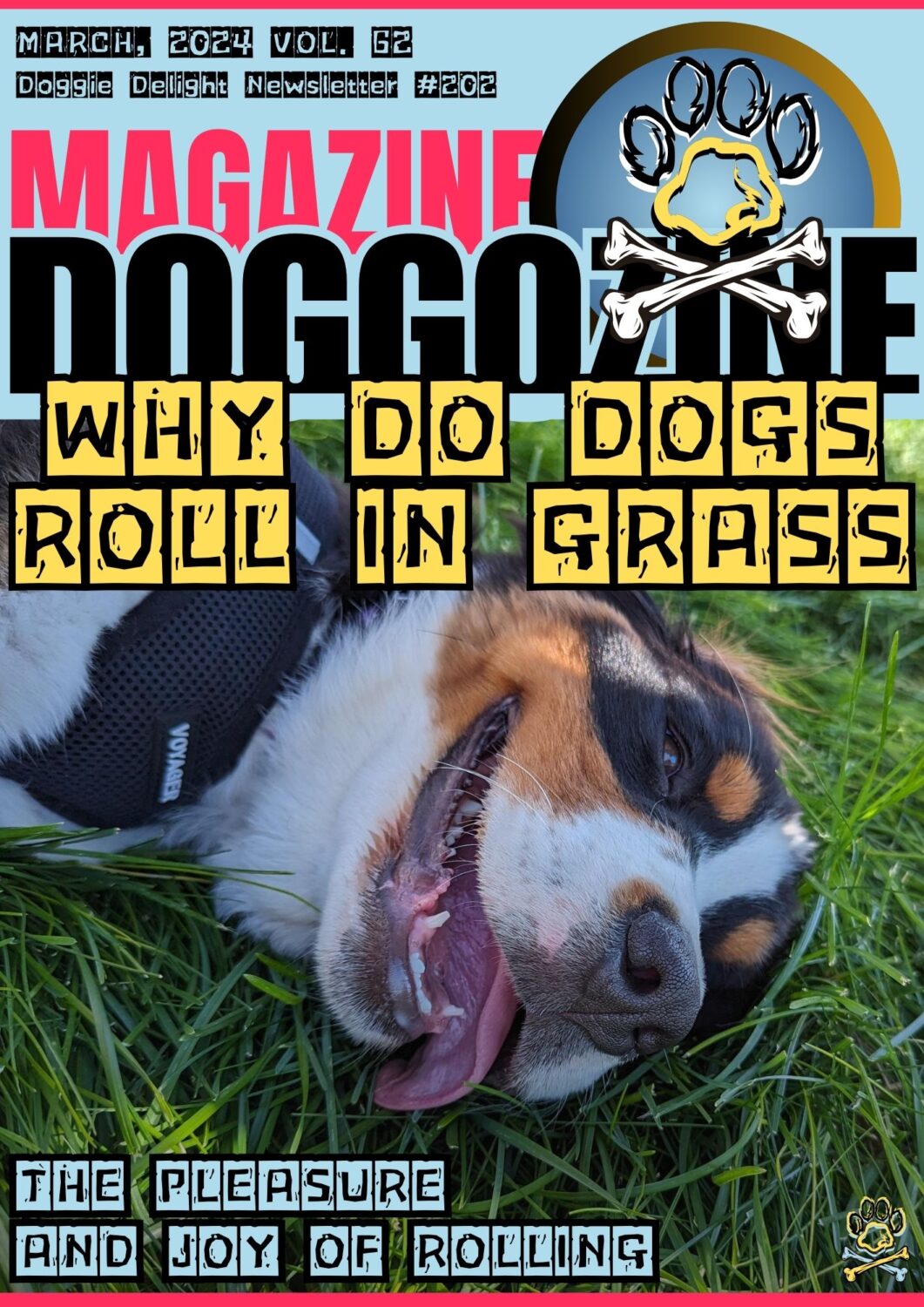 Why Do Dogs Roll In Grass and What It Means? • Doggozila Magazine
