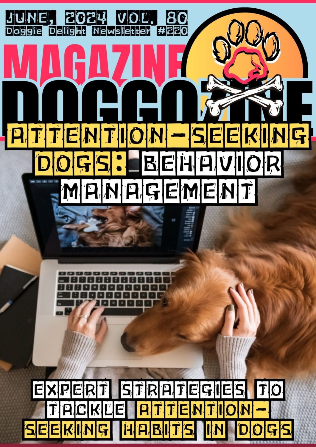 Attention Seeking Dogs: Behavior Management • Doggozila Magazine