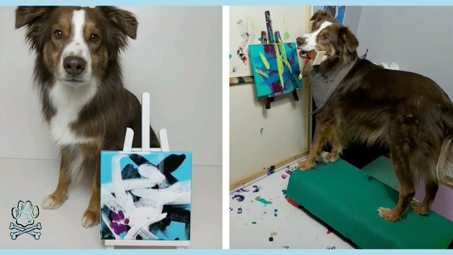 Dog Creativity: The Latest Canine Study • Doggozila Magazine