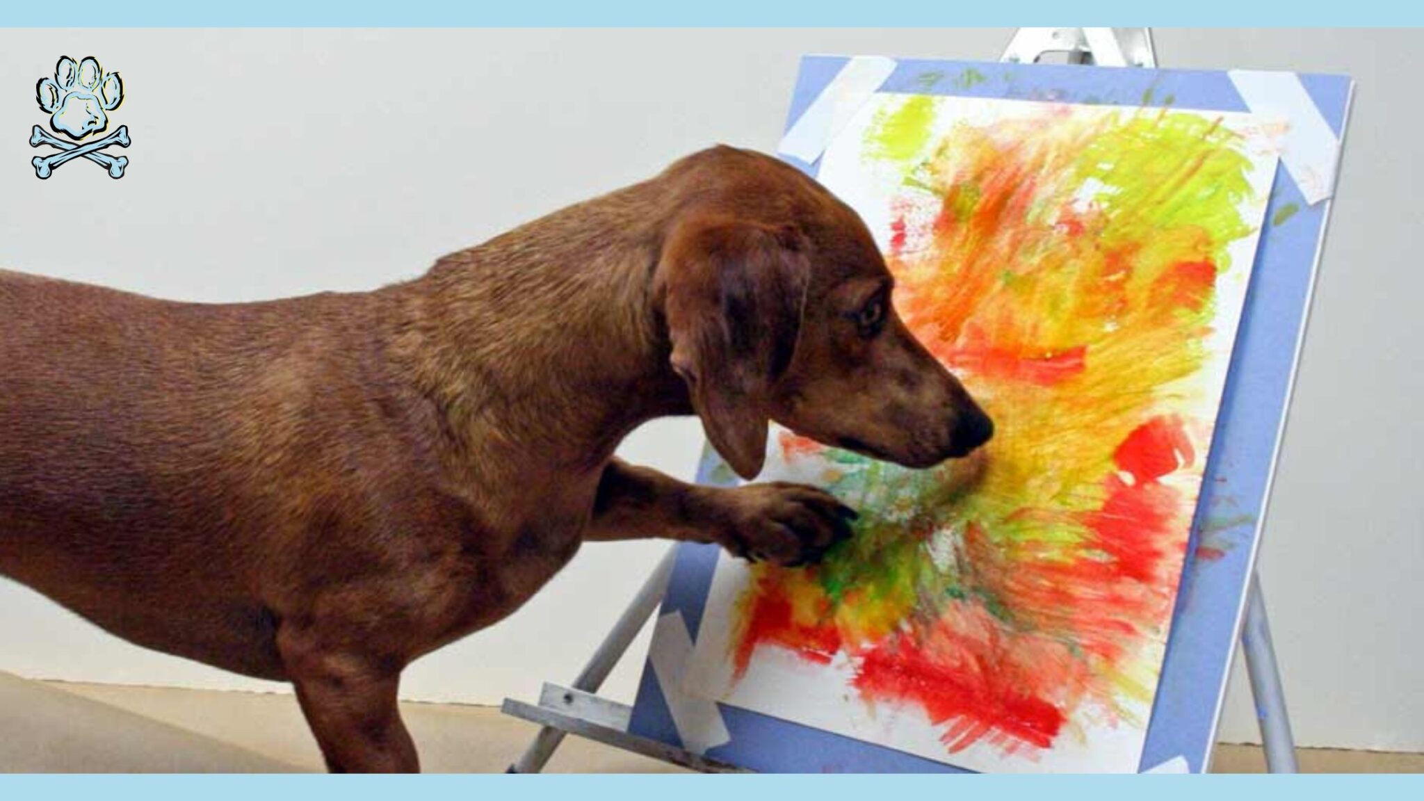 Dog Creativity: The Latest Canine Study • Doggozila Magazine
