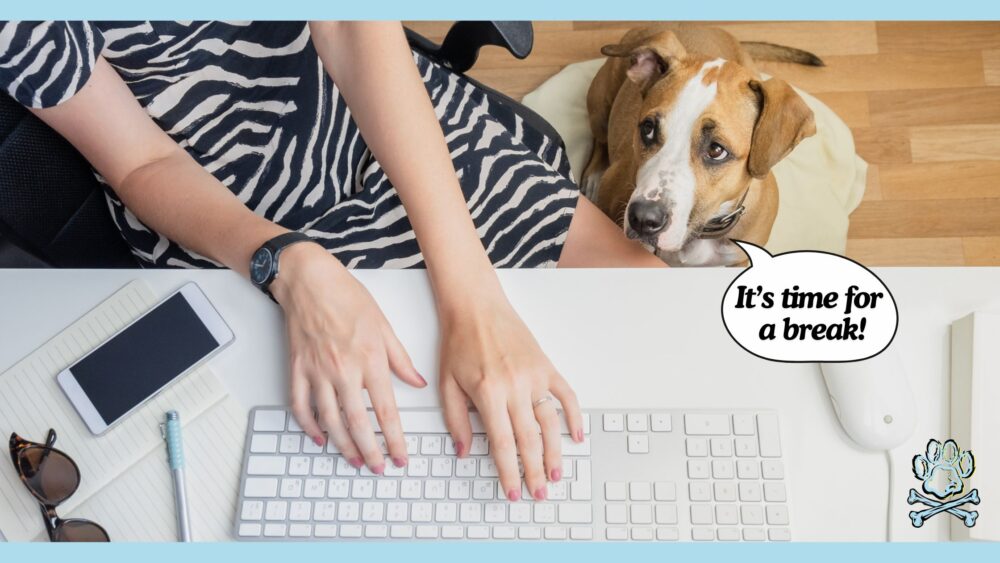 Dogs At Work: How To Elevate Workplace Culture? • Doggozila Magazine