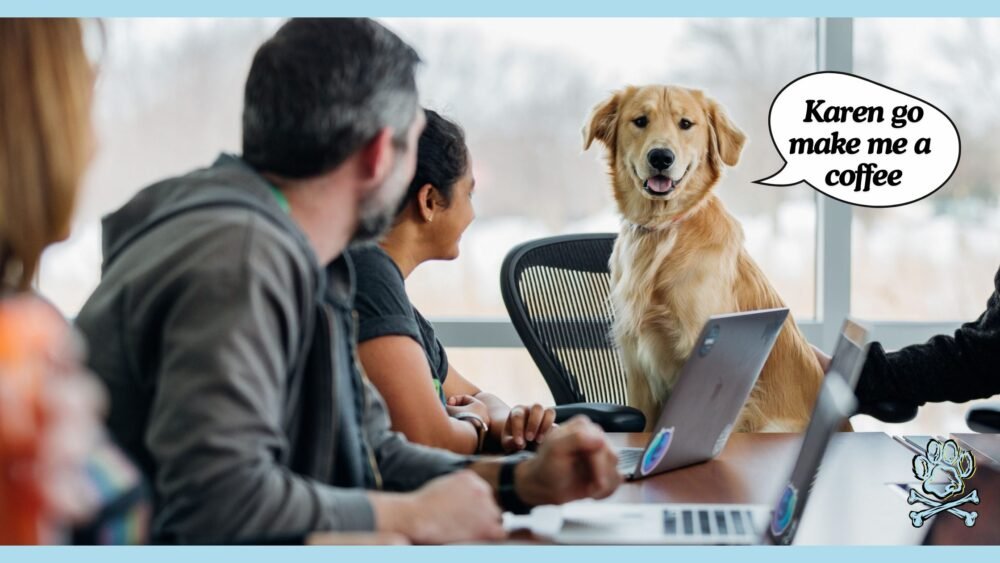 Dogs At Work: How To Elevate Workplace Culture? – Doggozila Magazine