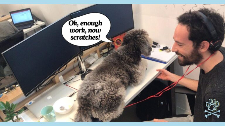 Dogs At Work: How To Elevate Workplace Culture? • Doggozila Magazine