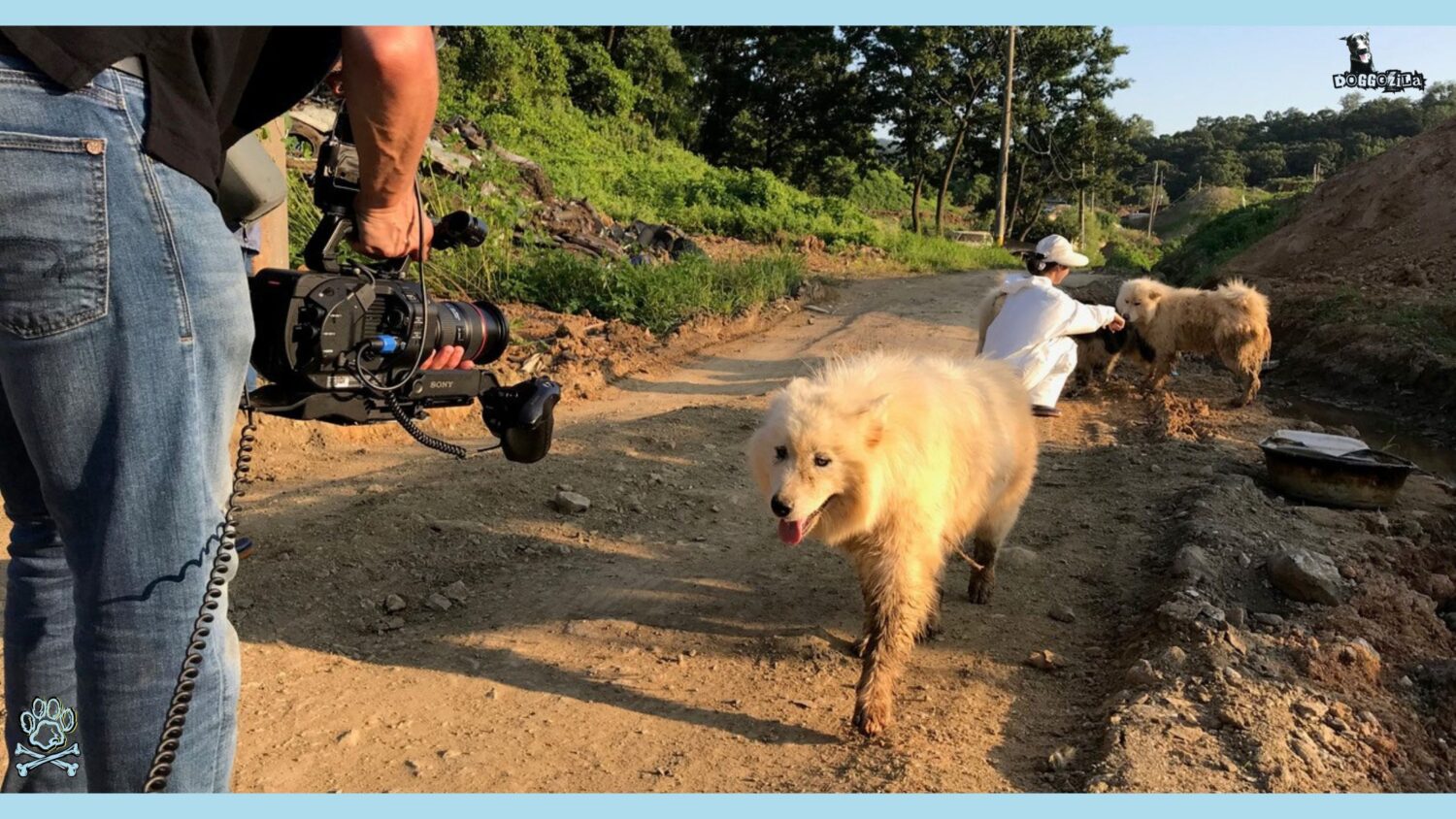 Dog War: Film By Andrew Abrahams (Interview)