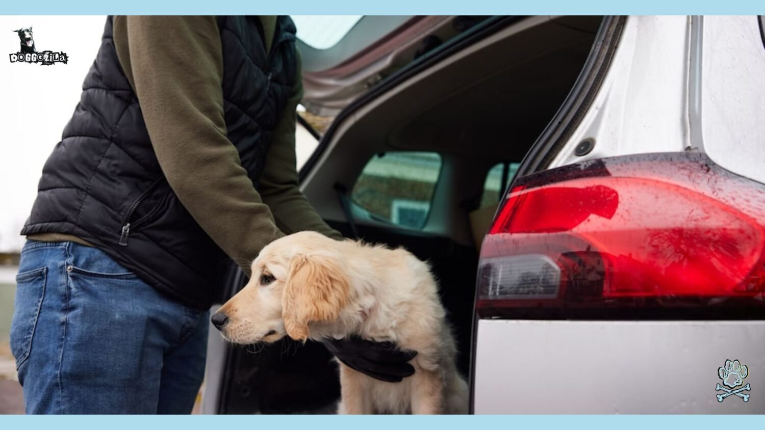 Dog Theft: Proactive Steps To Prevention - Doggozila Magazine