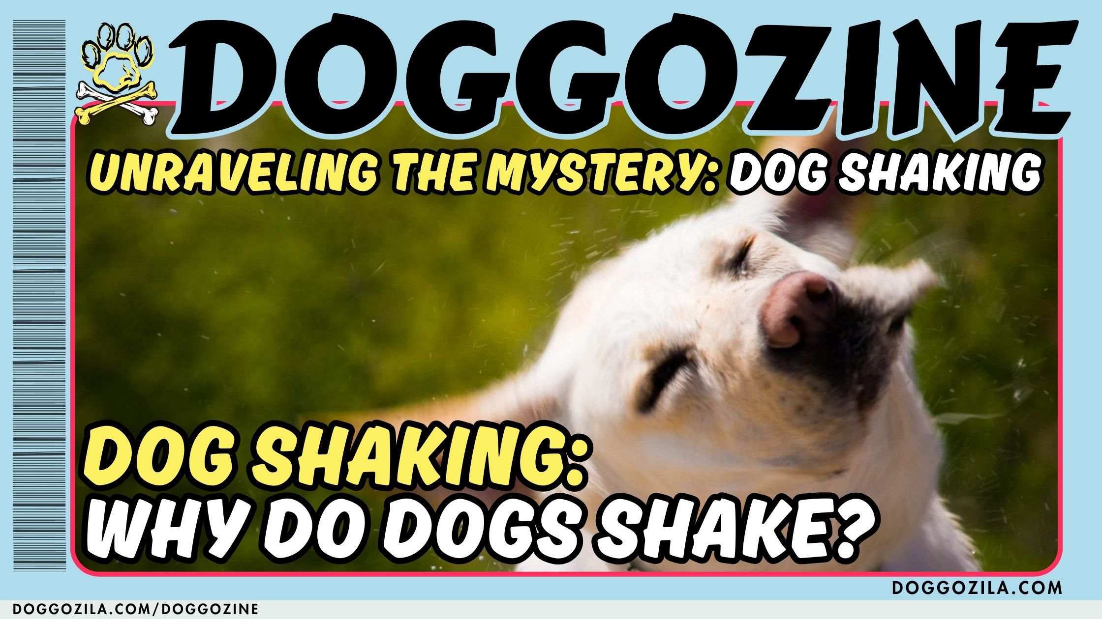 Dog Shaking: Why Is My Dog Shaking His Head? • Doggozila Magazine