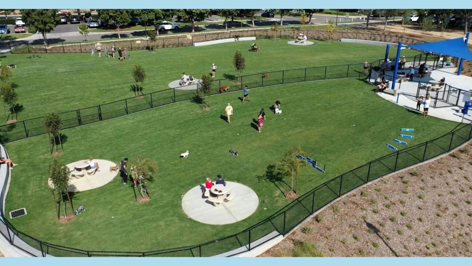Dog Parks: What Makes Them Great? • Doggozila Magazine