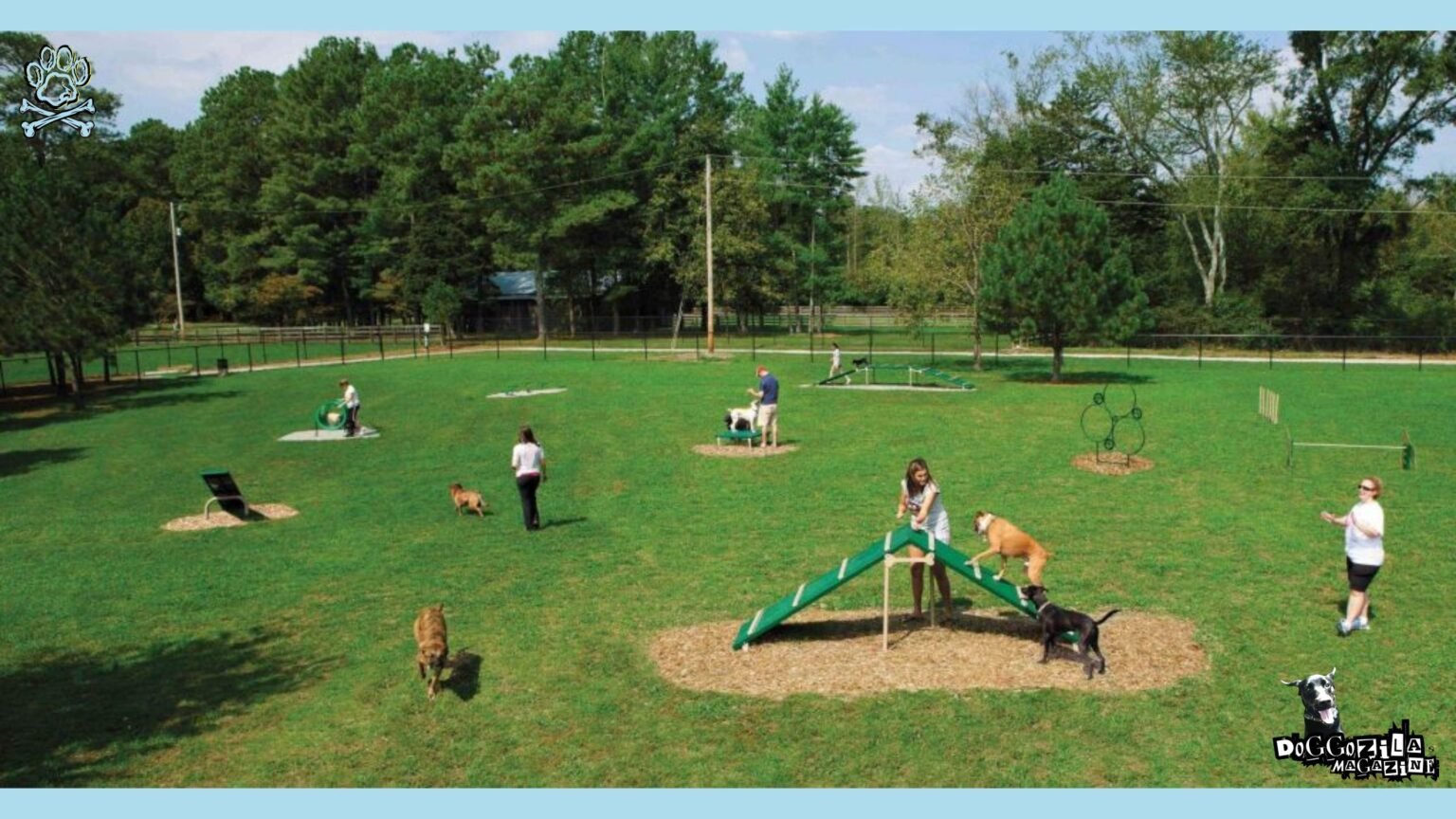 Dog Parks: What Makes Them Great? - Doggozila Magazine