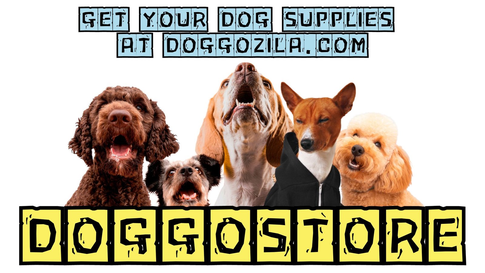 Doggo Shop for All Tail Wags • Doggozila Magazine