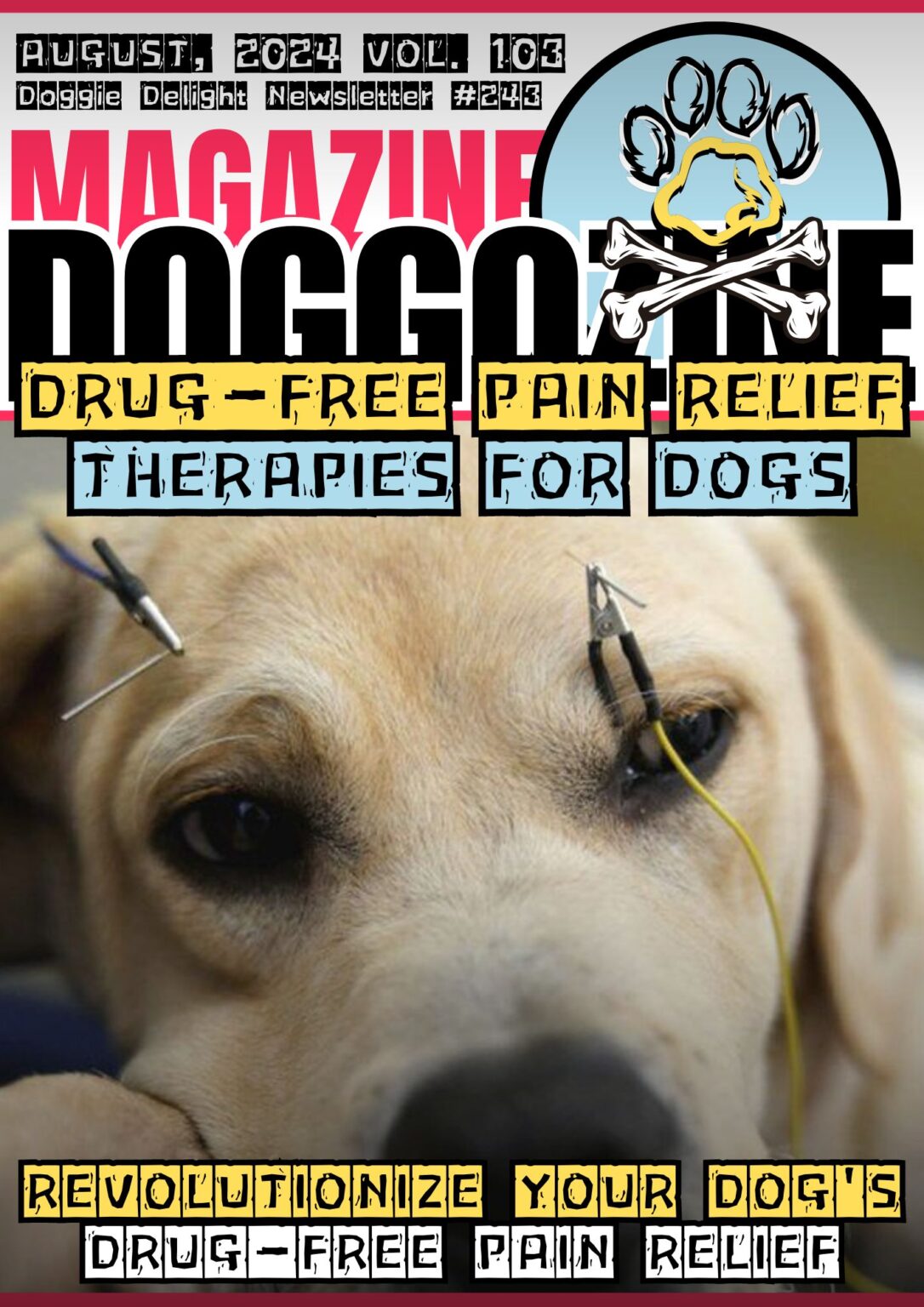 Drug-Free Pain Relief Therapies For Dogs • Doggozila Magazine