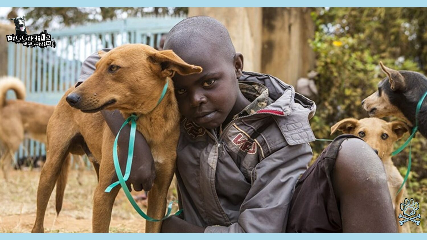 Humans and Dogs: Mutual Evolution In History • Doggozila Magazine