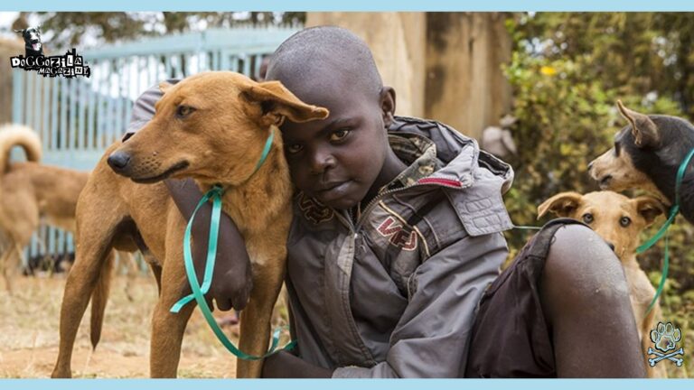 Humans and Dogs: Mutual Evolution In History • Doggozila Magazine