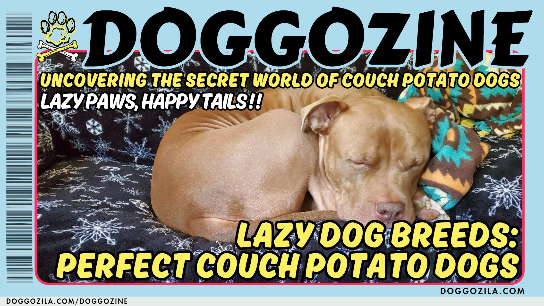 Lazy Dog Breeds: Perfect Couch Potato Dogs - Doggozila Magazine