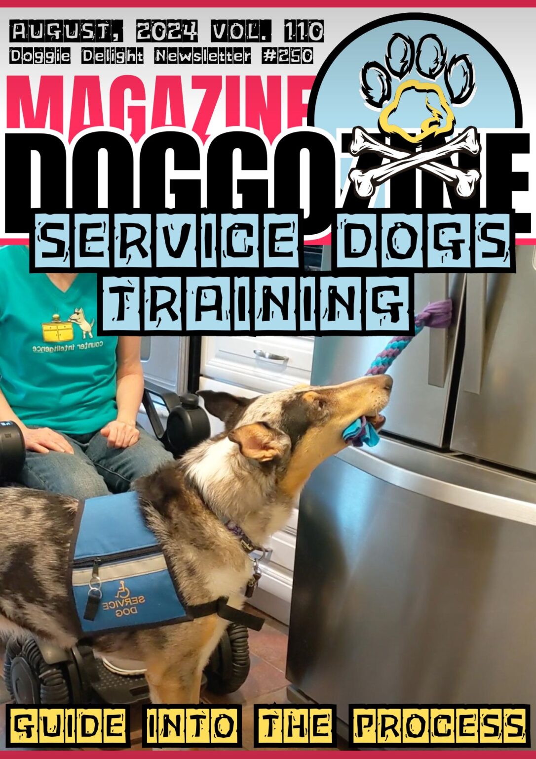 Service Dogs Training: Guide Into The Process • Doggozila Magazine