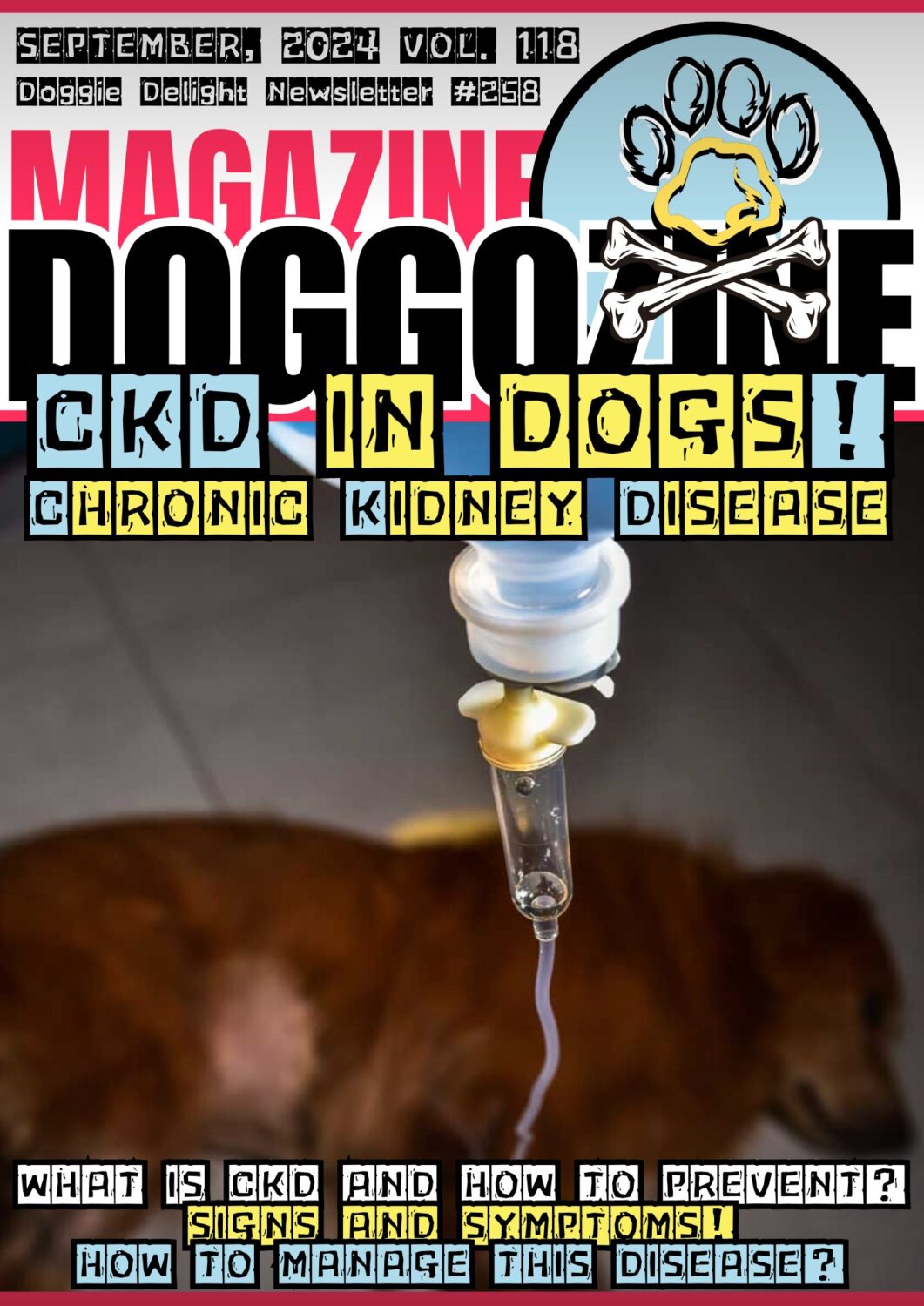 Chronic Kidney Disease In Dogs (CKD) • Doggozila Magazine