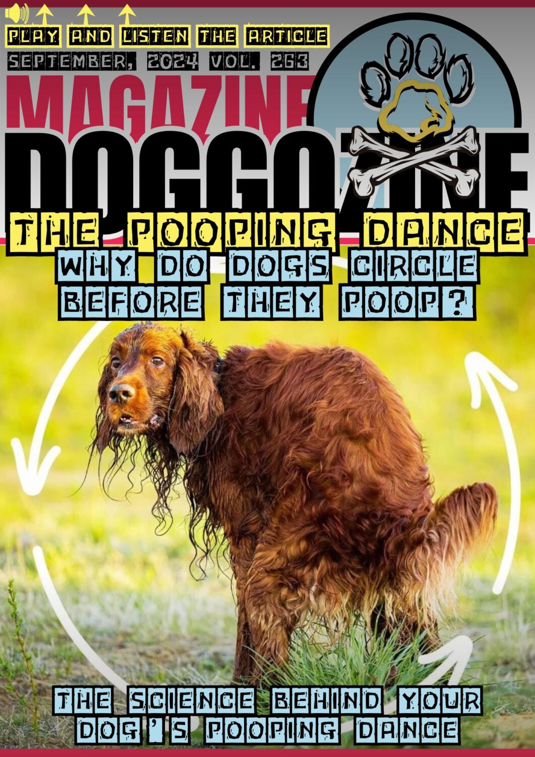 The Pooping Dance: Why Dogs Circle Before They Poop? • Doggozila