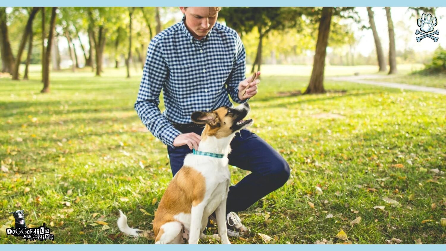 Dog Memory: How Long Do Dogs Remember Things? – Doggozila Magazine