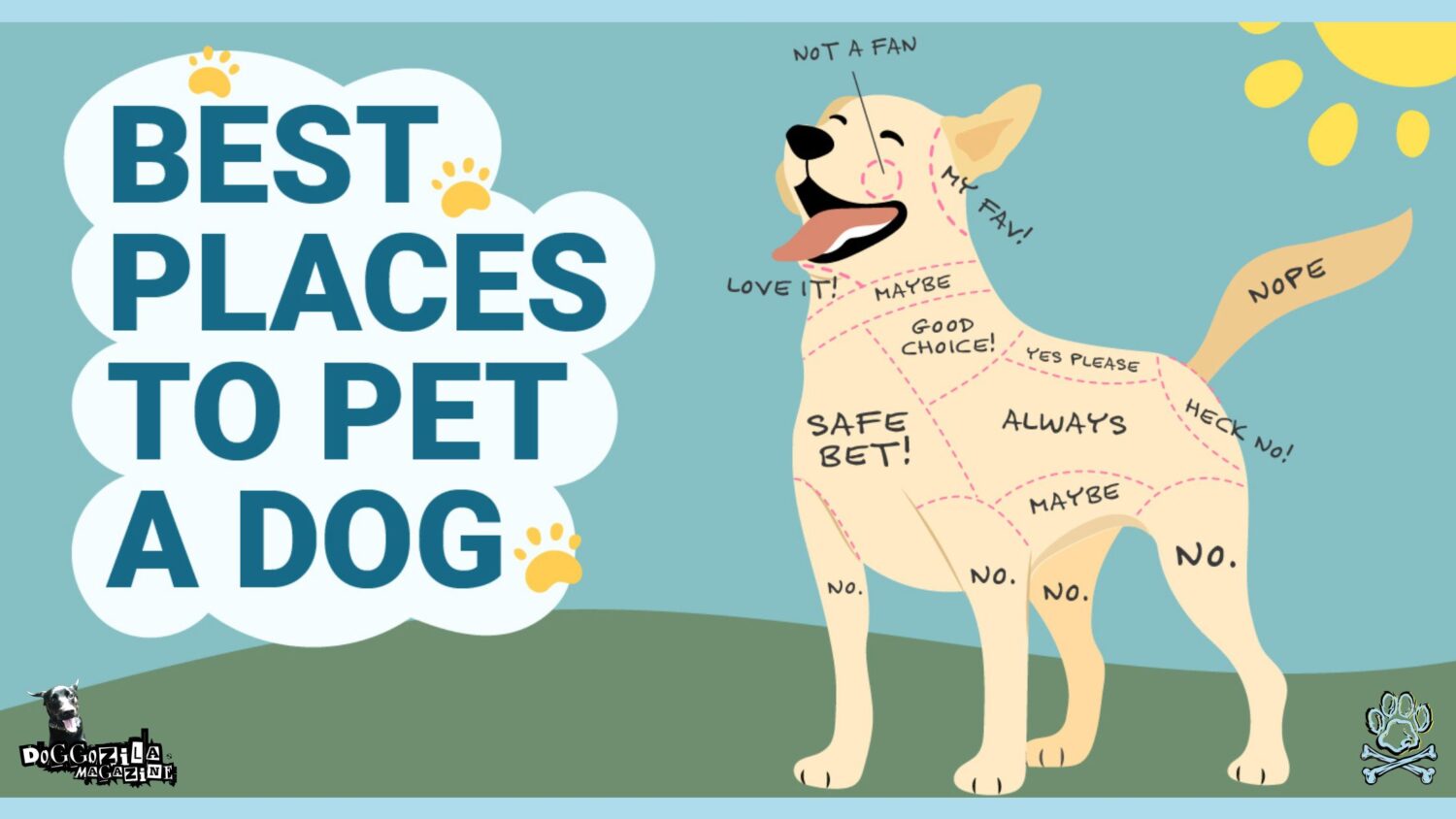 Are Dogs Ticklish? Exploring Canine Sensitivity • Doggozila Magazine