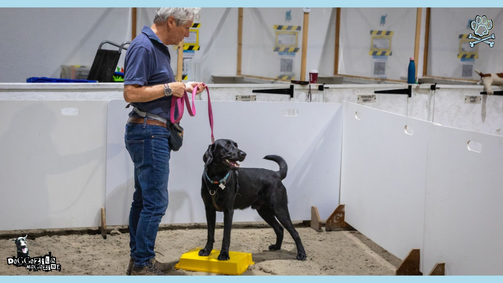Virtual Train Room For Online Dog Training - Doggozila Magazine