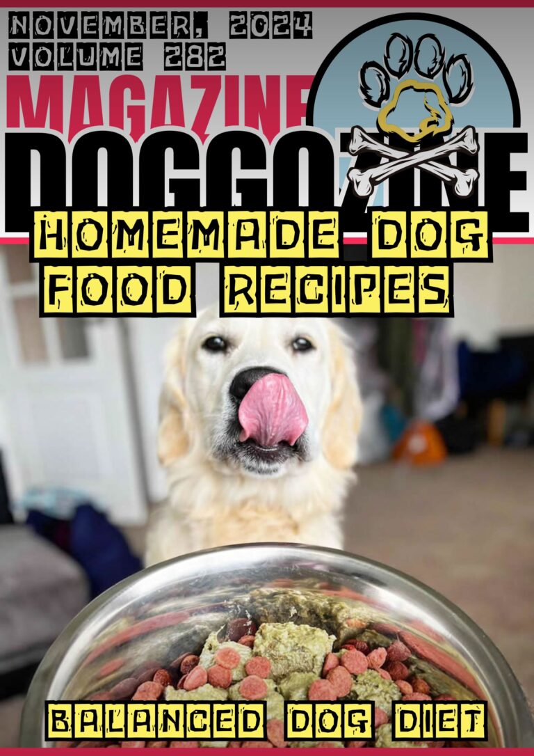 Homemade Dog Food Recipes: Balanced Dog Diet • Doggozila Magazine