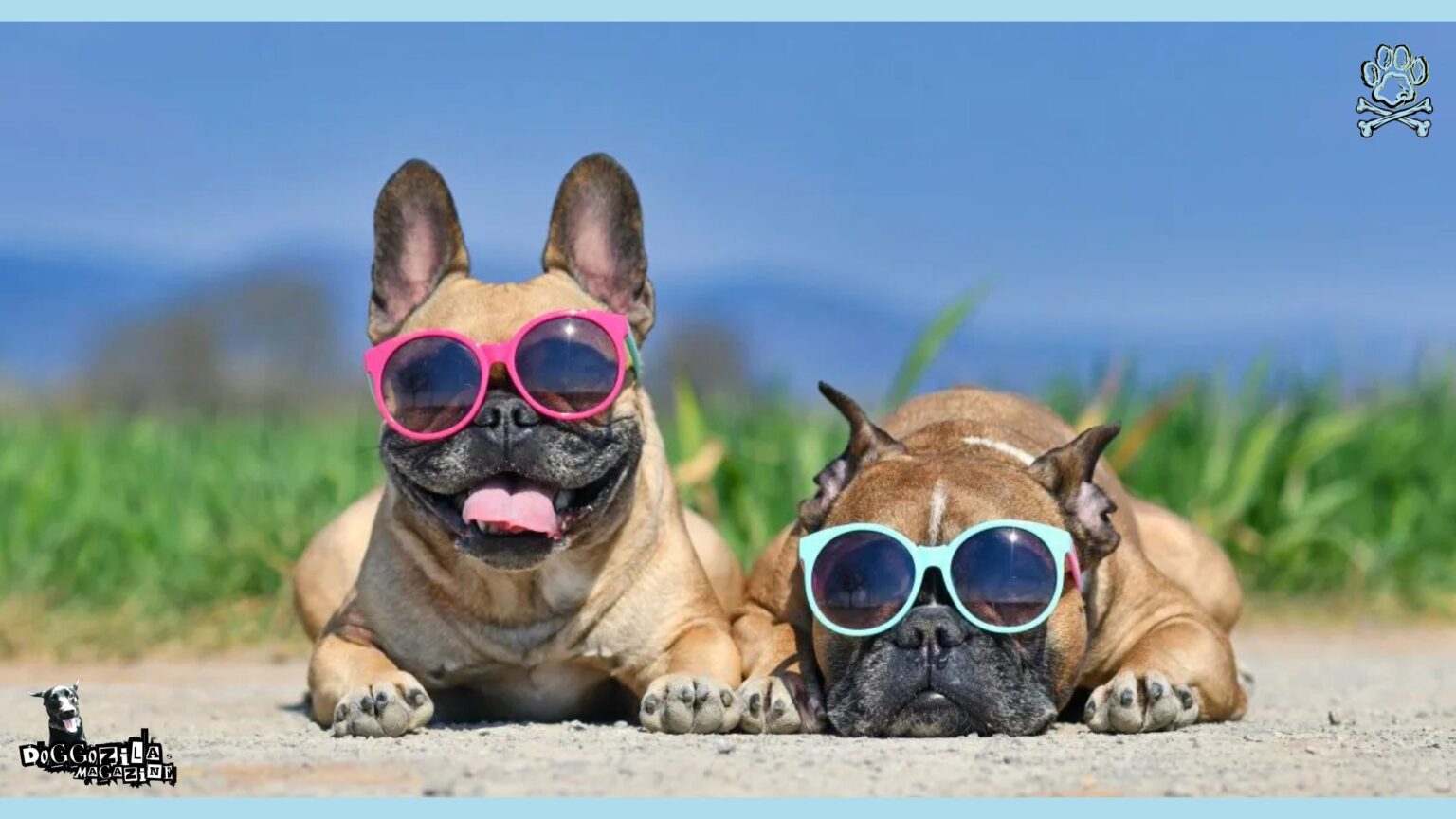 Cool Dog Breeds: Preserving Endangered Canines • Doggozila Magazine