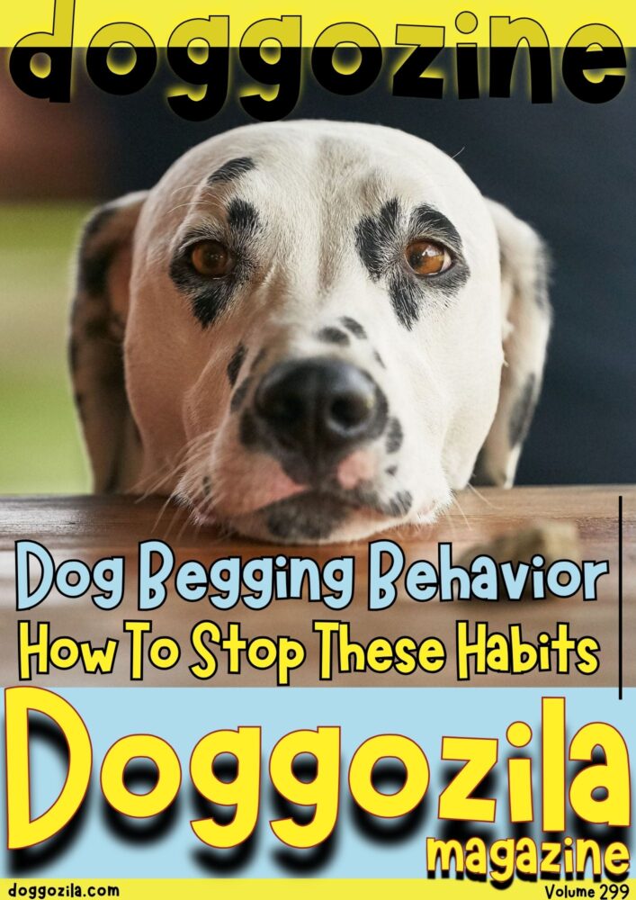 Dog Begging Behavior: How To Stop These Habits • Doggozila Magazine