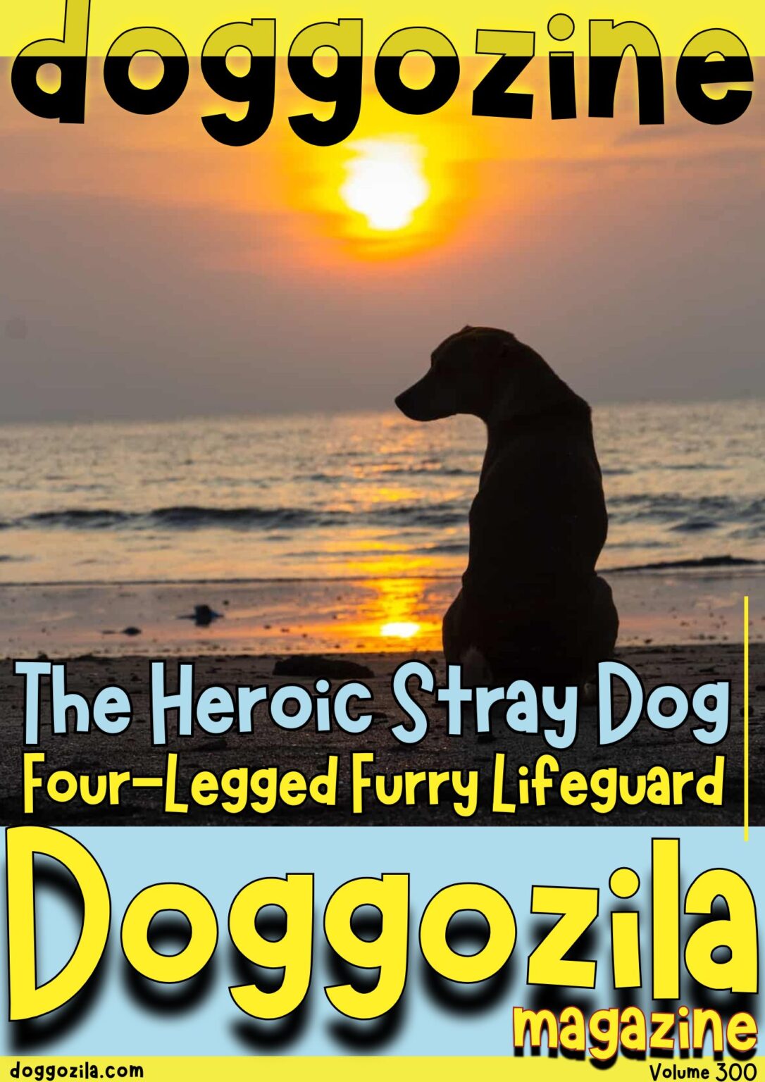 The Heroic Stray Dog: Four-Legged Furry Lifeguard • Doggozila