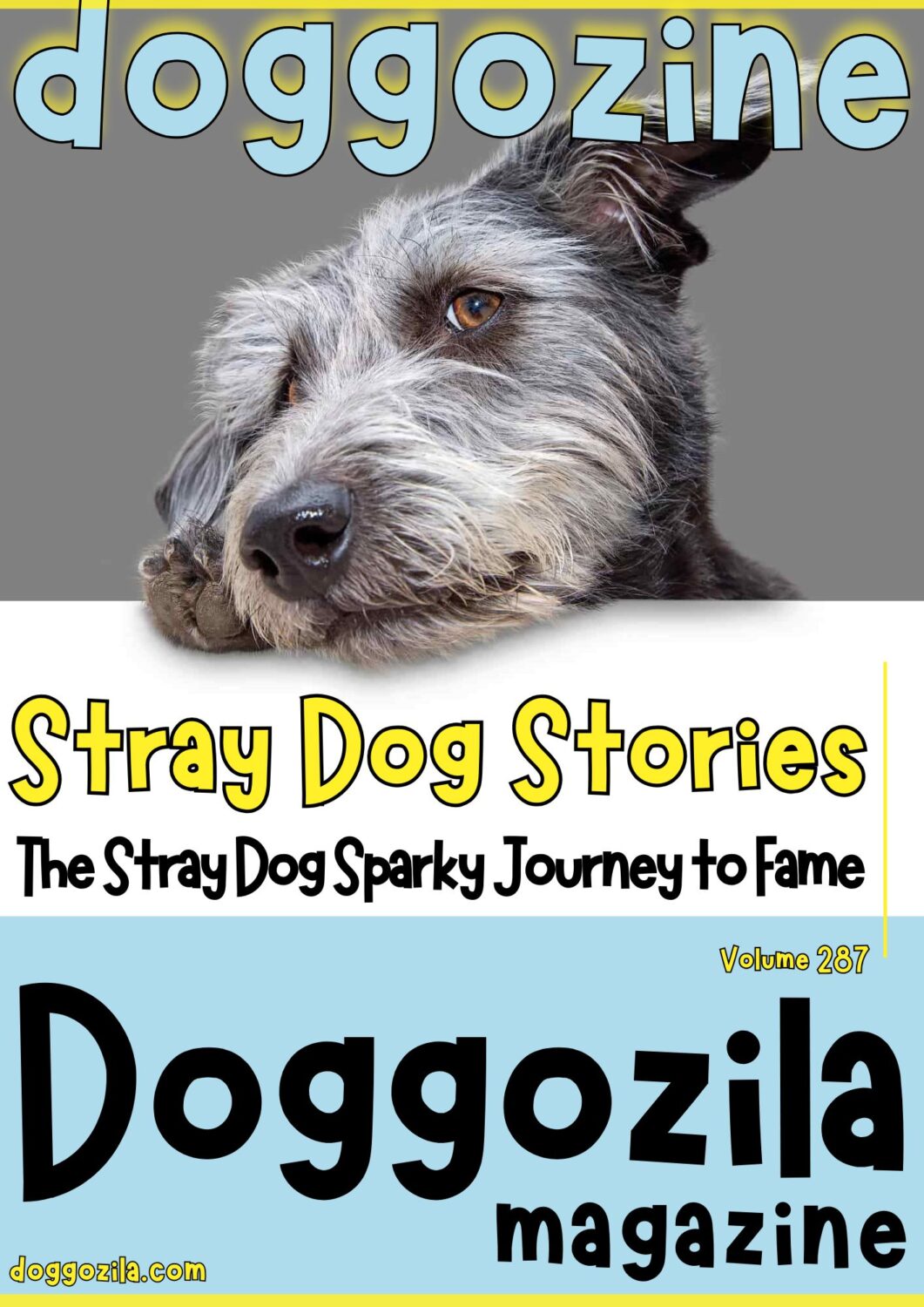 The Stray Dog Sparky and His Journey to Fame • Doggozila Magazine