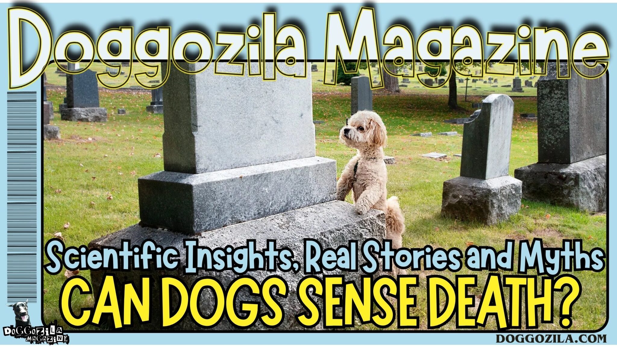 What Do Dogs Think About? Into the Canine Mind • Doggozila Magazine