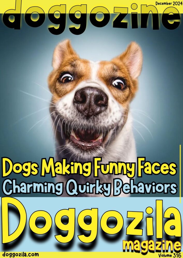 Dogs Making Funny Faces: Charming Quirky Behaviors • Doggozila Magazine