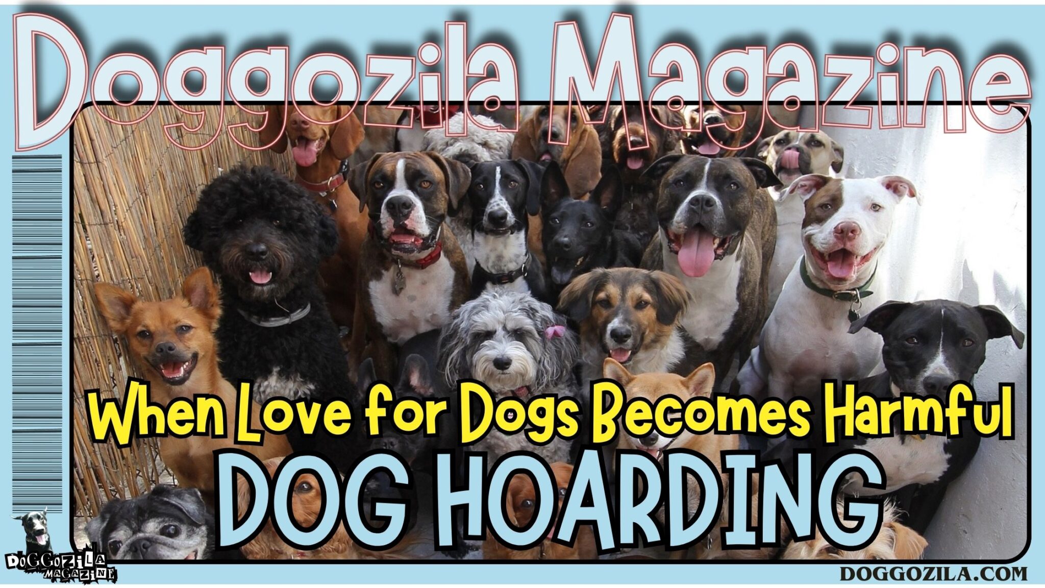 Doggozine: Your Epic Dog Lifestyle Magazine at Doggozila.com