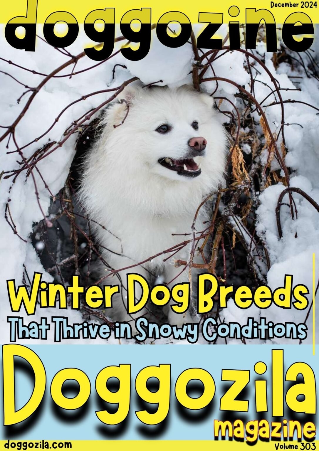 Winter Dog Breeds That Thrive in Snowy Conditions – Doggozila Magazine